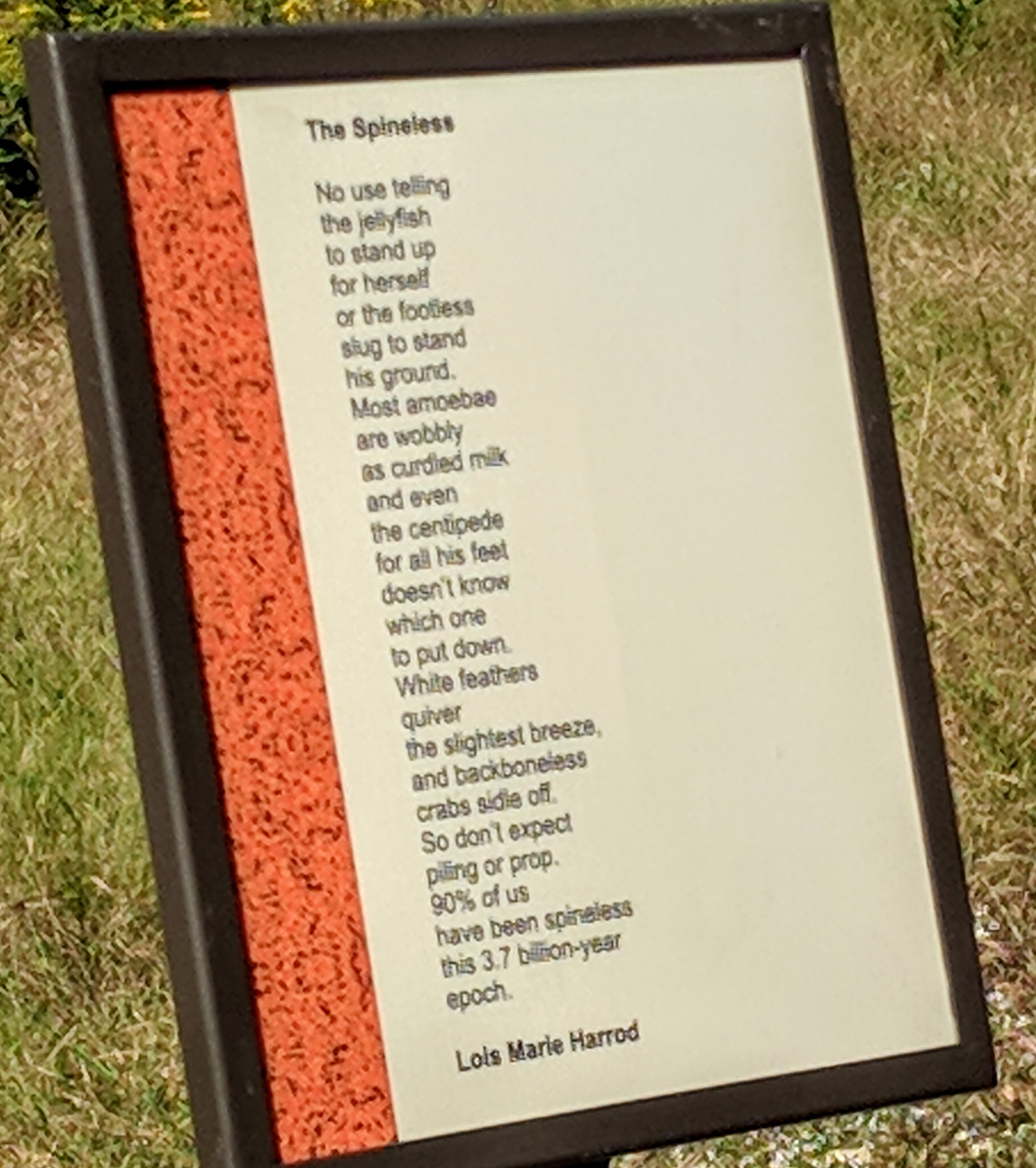 Congratulations to Lois! | The Cool Women Poets